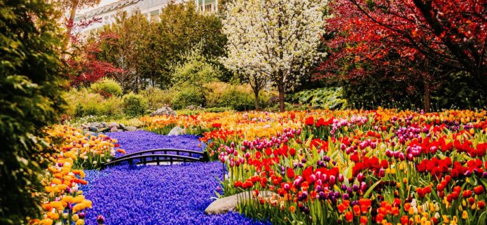 20 Best Things to Do in Michigan This April 2025